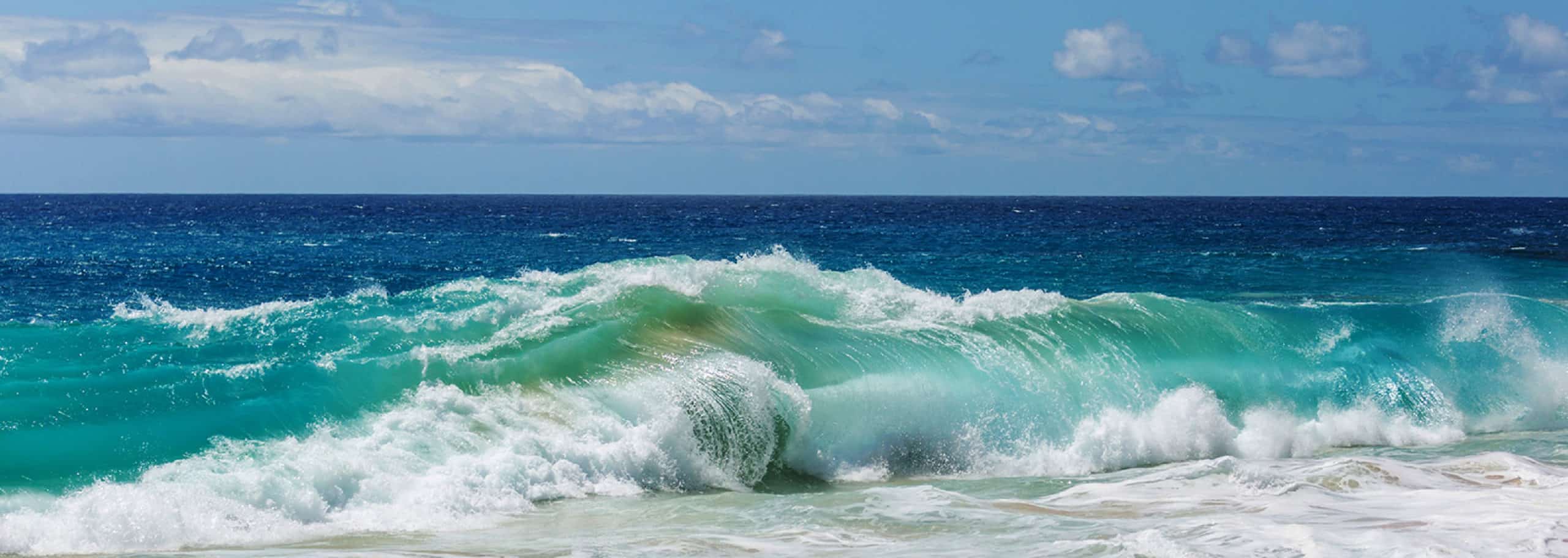 Psychological Safety | Agility Management Consulting